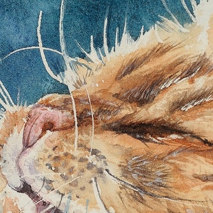 Ginger Cat Art Print Cat Drawing Cat Watercolor Lovers Cat Portrait ...