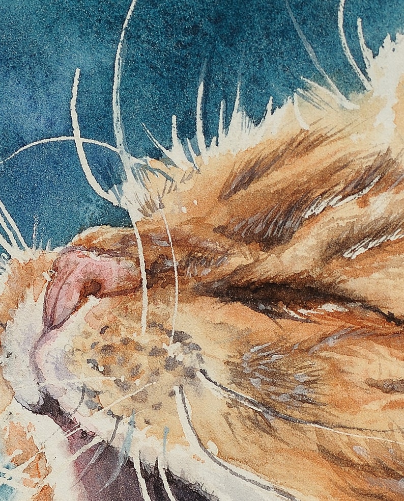 Ginger Cat Art Print Cat Drawing Cat Watercolor Lovers Cat Portrait ...