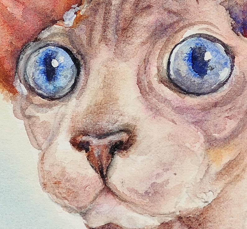 Sphinx Cat Art Print Watercolor Original Custom Paintings - Etsy