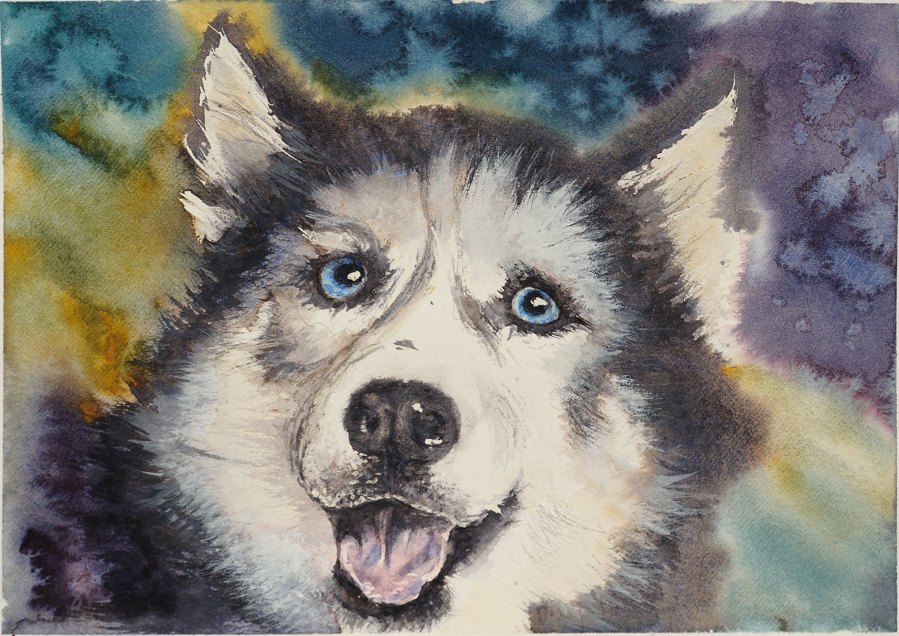 Siberian Husky Dog Portrait Art Print of Original Watercolor - Etsy UK
