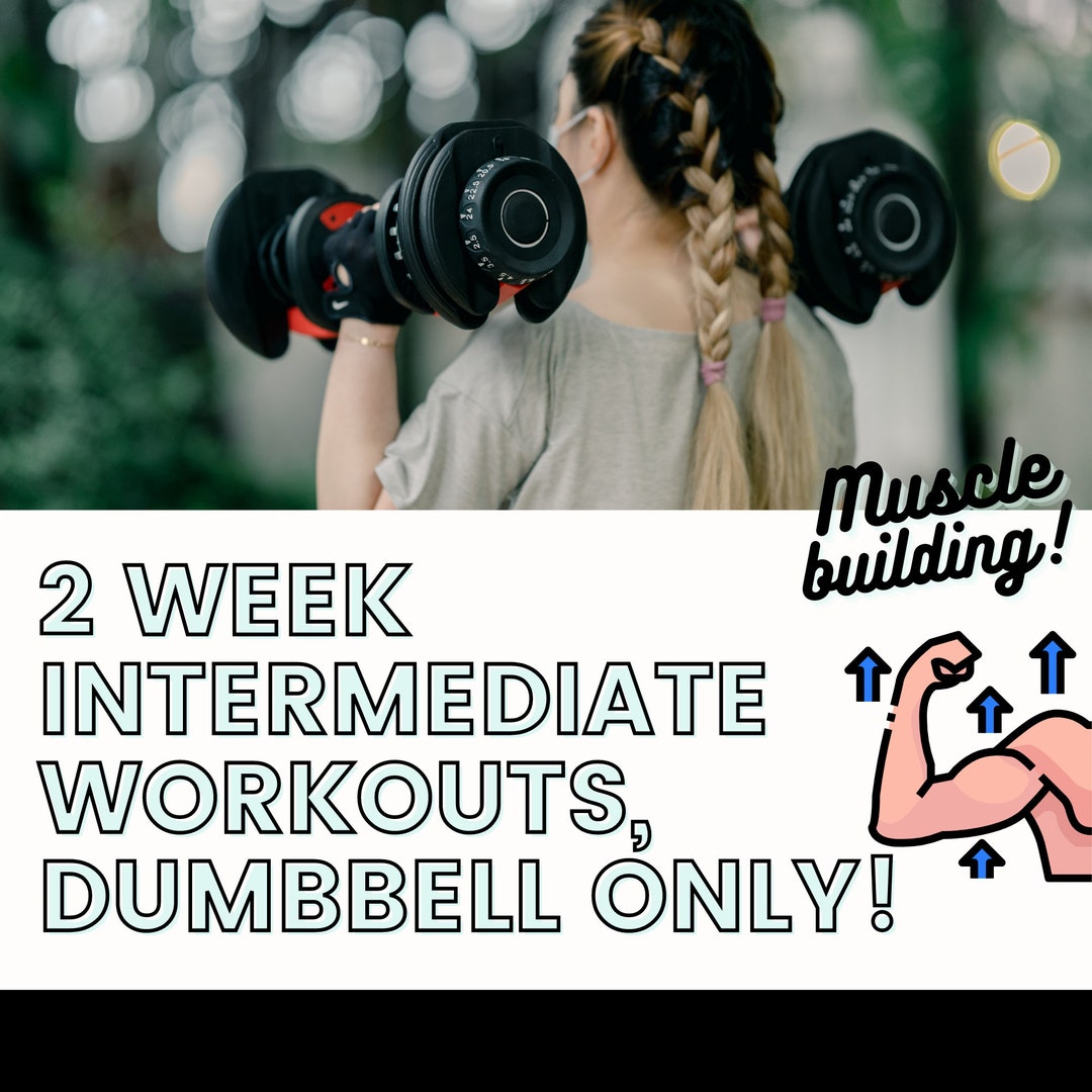 Dumbbell Workout Plan for at Home Exercise. Intermediate Fitness Guide ...