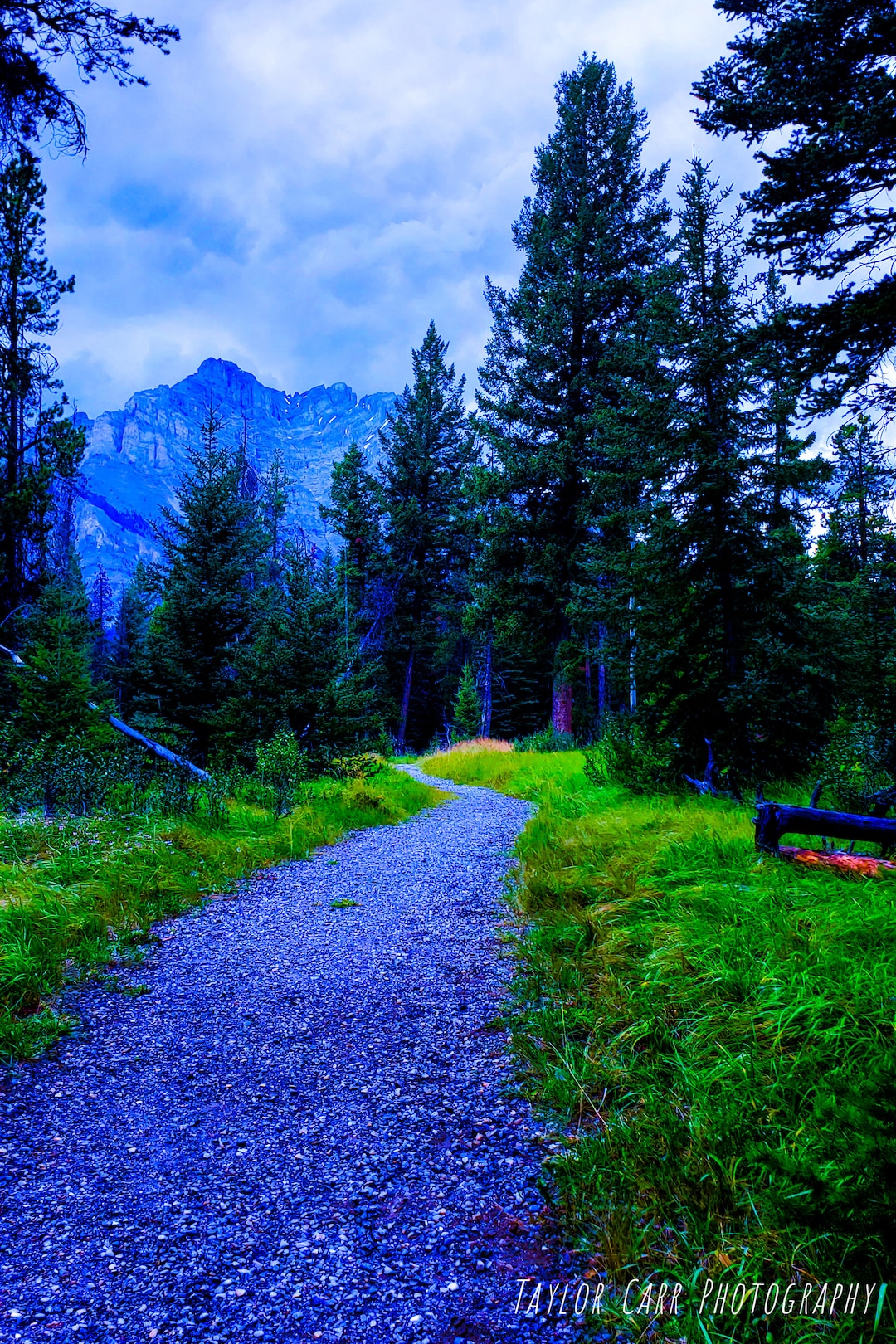 Tunnel Mountain Campground Loop Hiking Trail Winding Path Mountain Tops ...