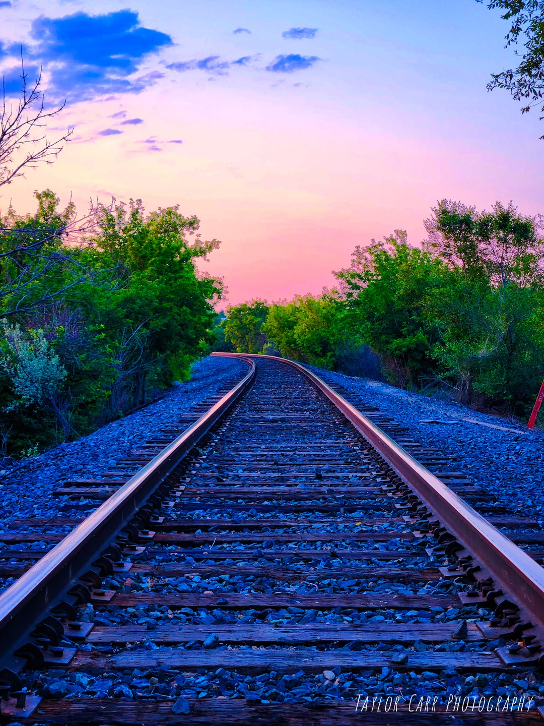 CN Railroad Railway Train Tracks Close up Sunrise in Trees Saskatchewan ...