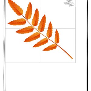 Simple Basic Leaf Puzzles DIY Printable for Toddler Preschooler ...