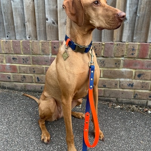 Grab Traffic Handle Lead - 2 Colour Waterproof Biothane Dog Lead With ...