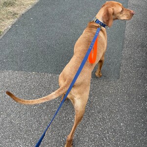 Grab Traffic Handle Lead - 2 Colour Waterproof Biothane Dog Lead With ...