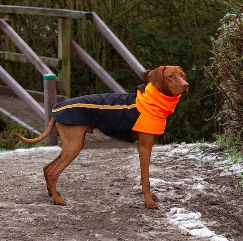Custom made fleece lined dog coat black & high viz orange warm | Etsy