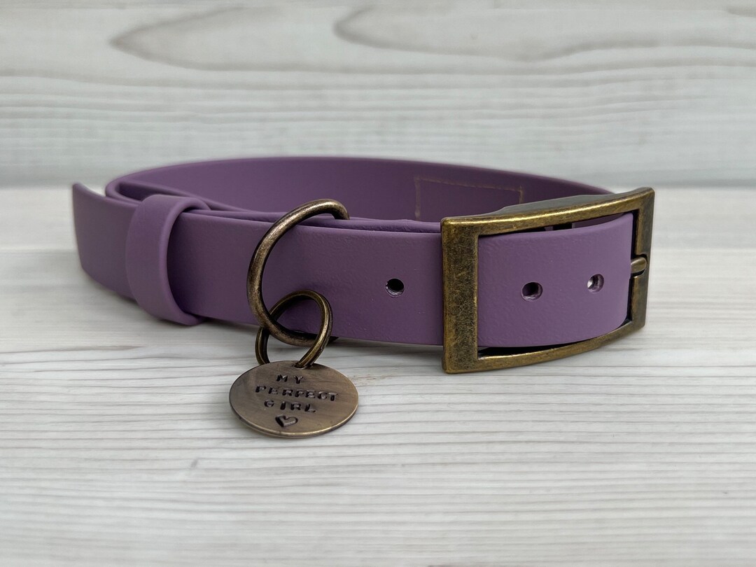 Lavender Purple Bespoke Waterproof Biothane Dog Collar Includes ...