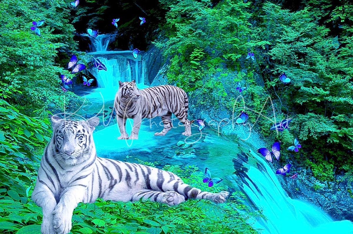 White Tiger Waterfall Print, Butterflies, Fantasy, Fairytale - Etsy