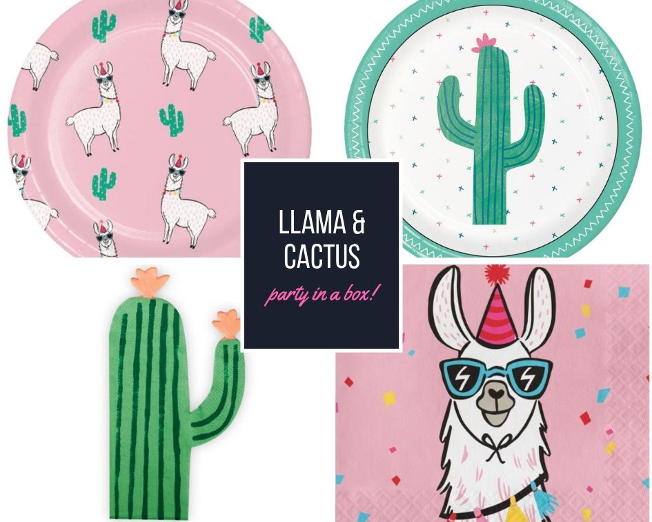 Llama and Cactus Party in A Box - Etsy