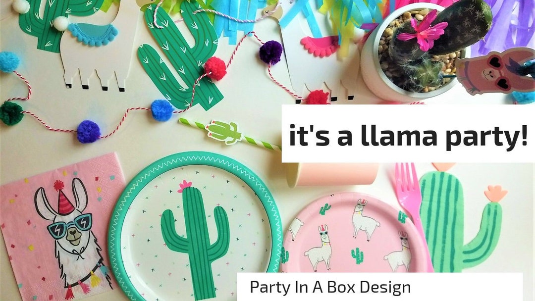Llama and Cactus Party in A Box - Etsy