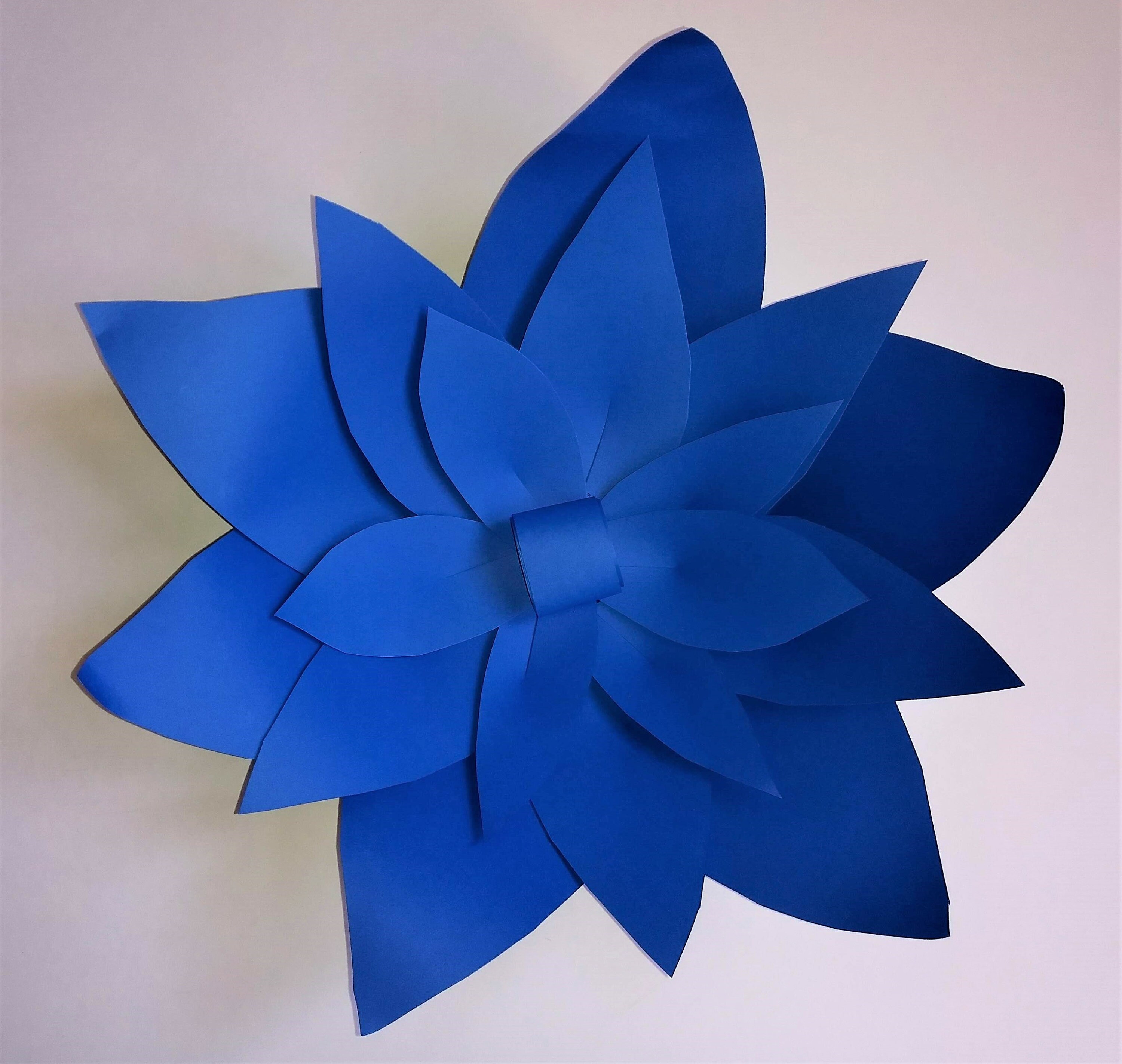 Party in a Box Blue Paper Flower Backdrop Photo Background - Etsy