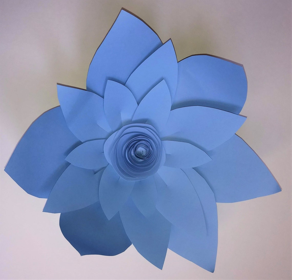Party in a Box Blue Paper Flower Backdrop Photo Background - Etsy