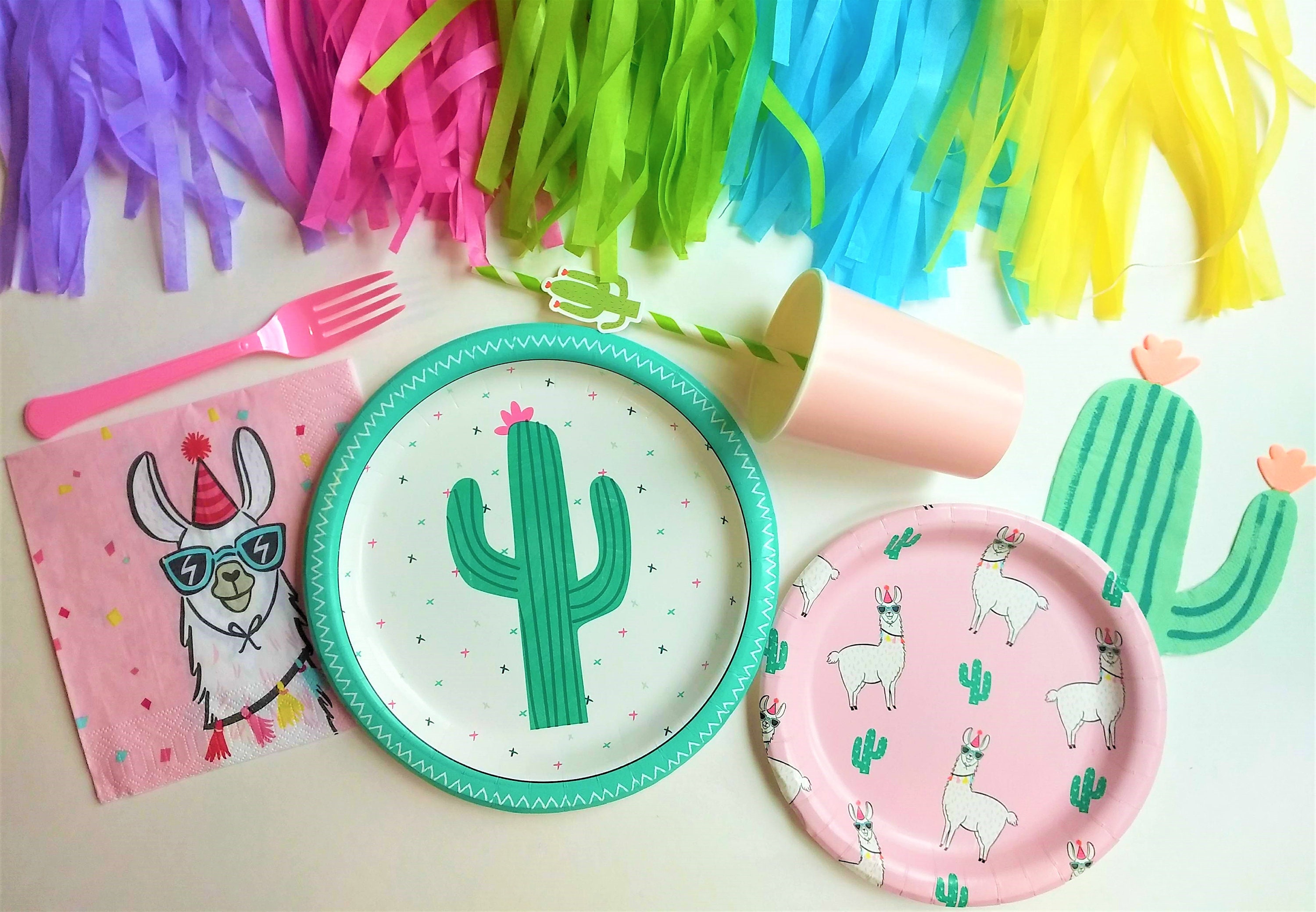 Llama and Cactus Party in A Box - Etsy