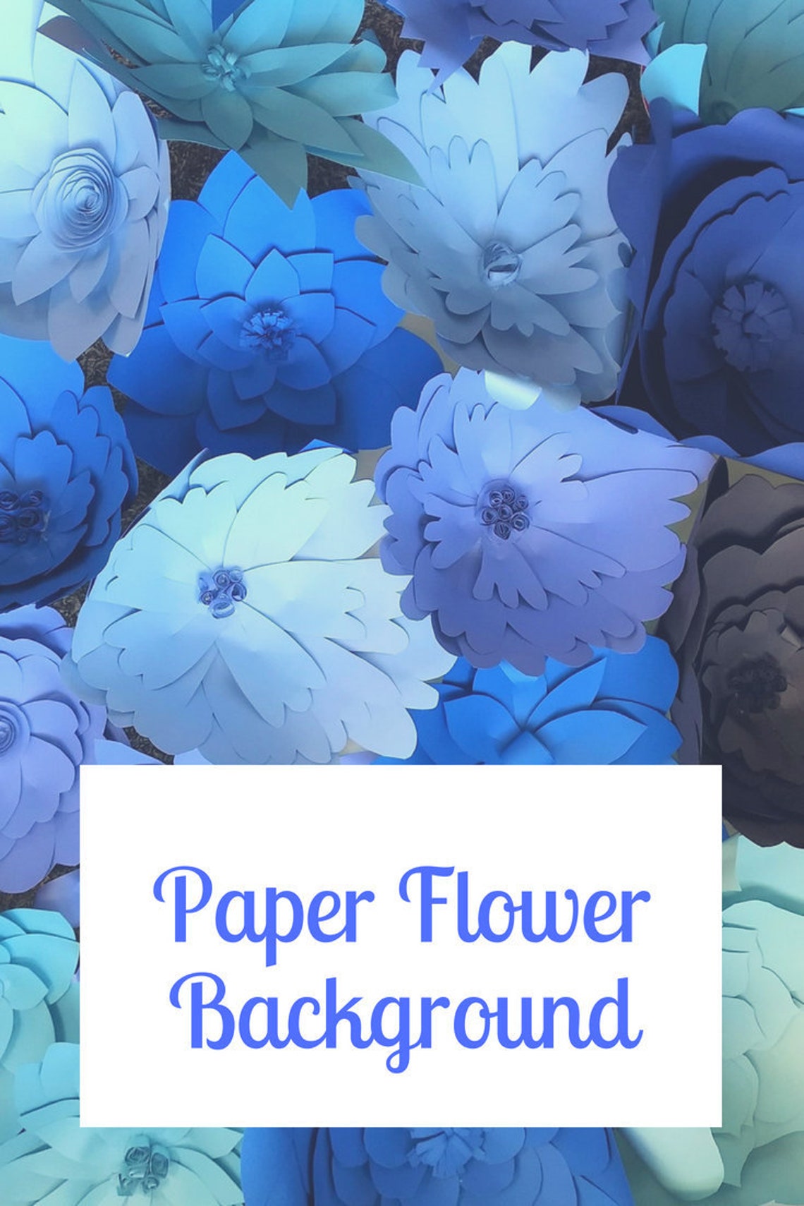 Party in a Box Blue Paper Flower Backdrop Photo Background - Etsy