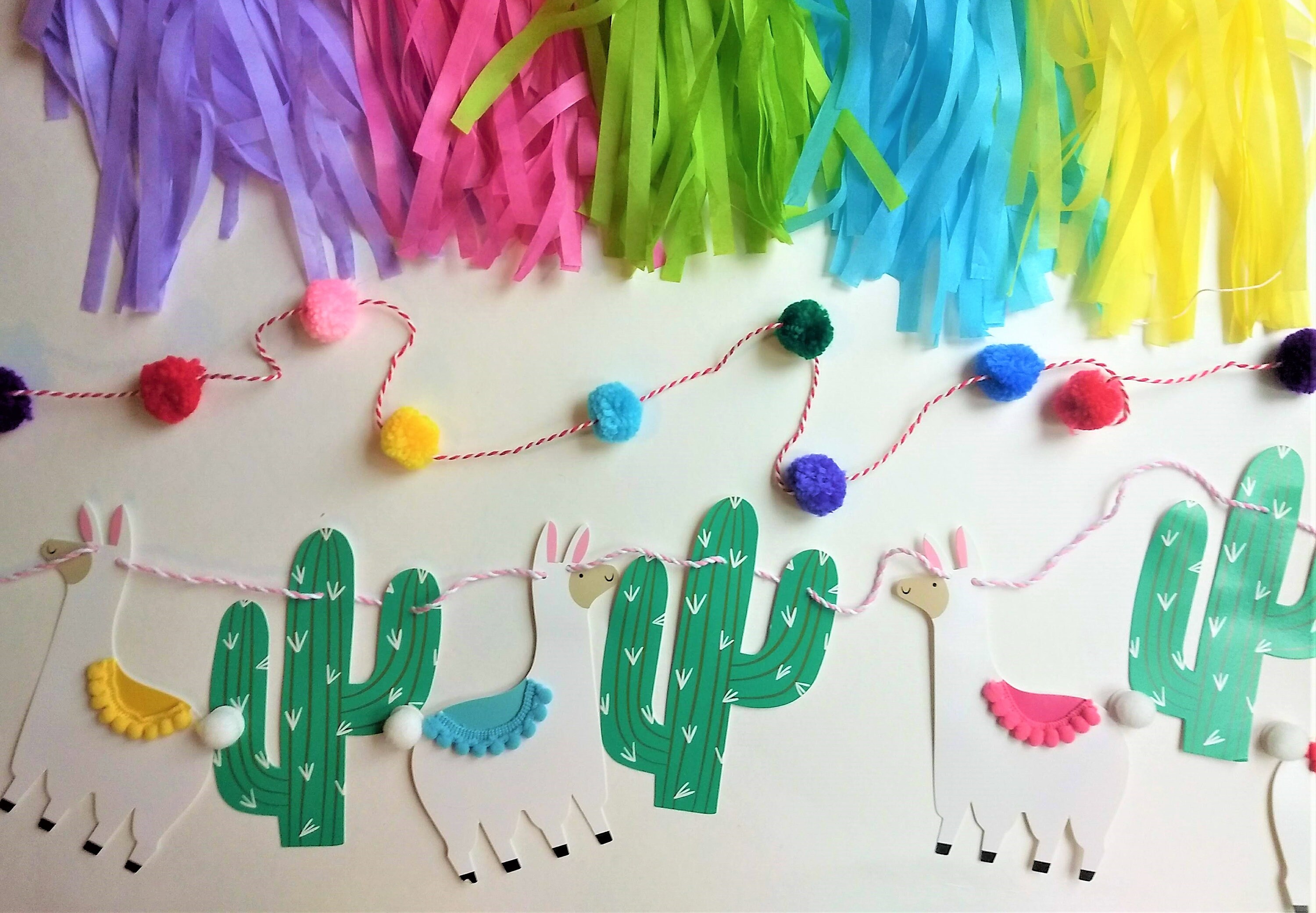 Llama and Cactus Party in A Box - Etsy