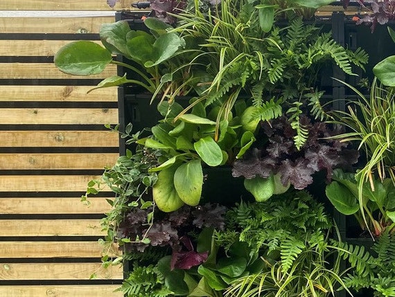 Living Wall Planter Grid