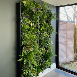 Living Wall Planter Troughs for a Vertical Garden Indoor or Outdoor ...
