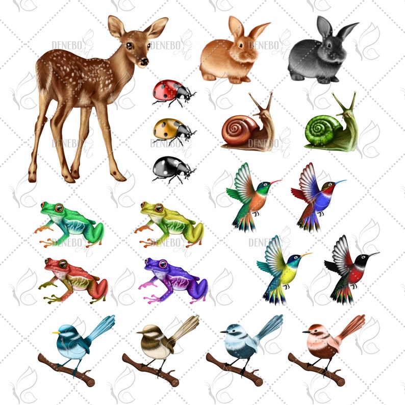 Animal Clipart Woodland Animals Art Forest Animals Digital Deer Rabbit ...