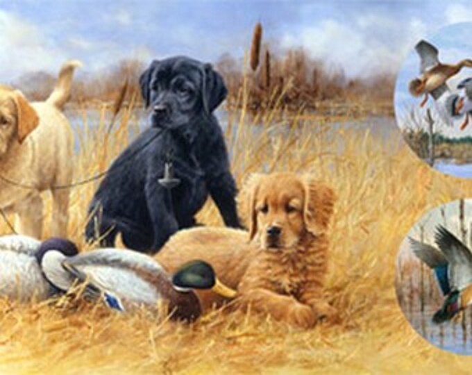Labrador Dogs Panel With Mallard Ducks - Faithful Friends - Northcott ...