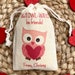 Set of 10 Kid's Valentine's Day Party Favor Bags / Owl Assortment ...