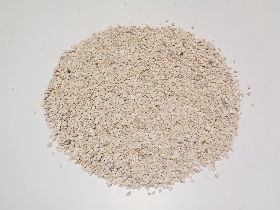 6 Lb Crushed Oyster Shell Aquarium Decor Aquascape Salt | Etsy