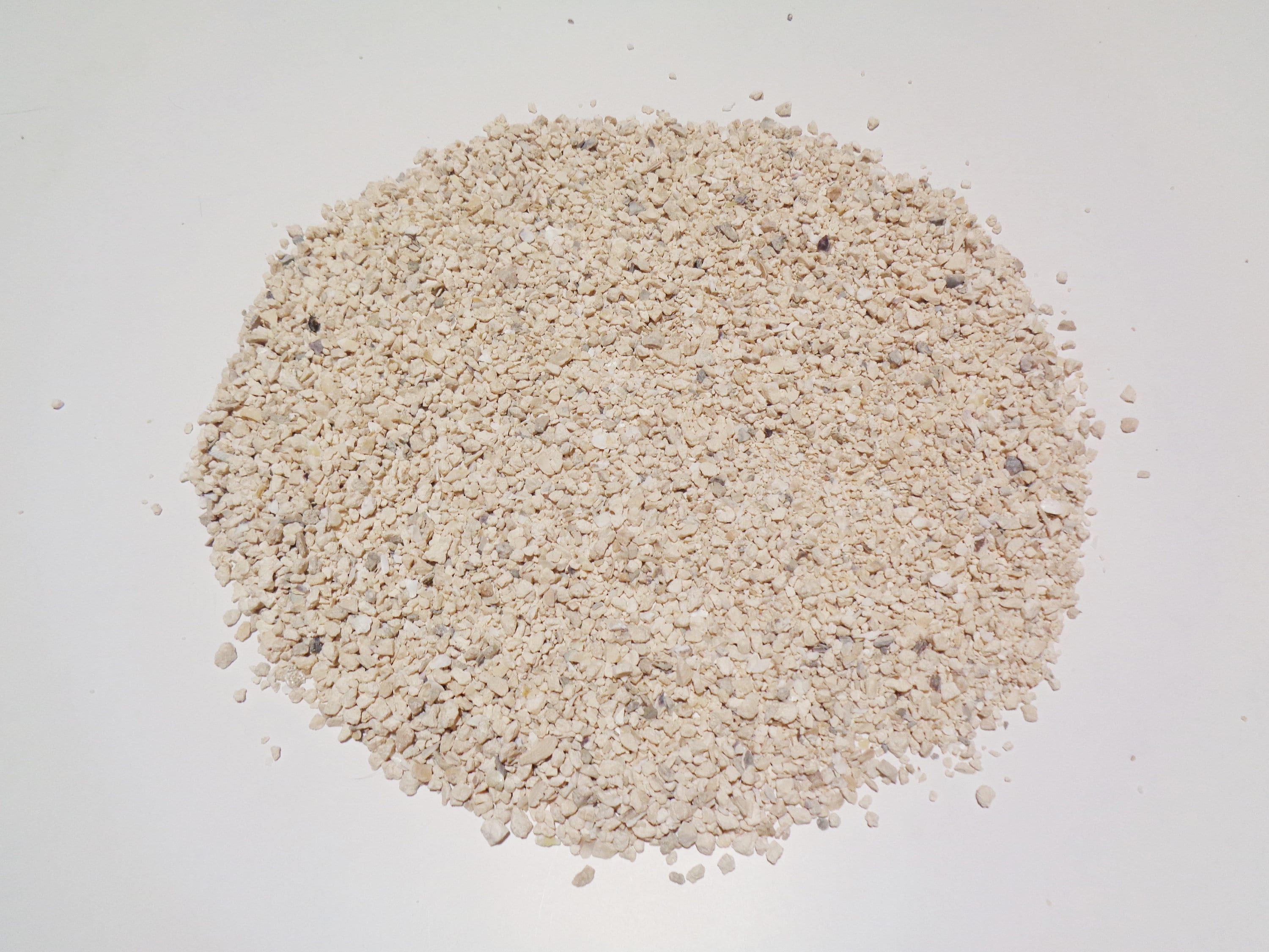 3 Lb Crushed Oyster Shell, Aquarium Decor, Aquascape, Salt Water Gravel ...