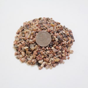 20lb Natural Small Gravel Aquarium Coarse Substrate Natural Tan Rock - Etsy