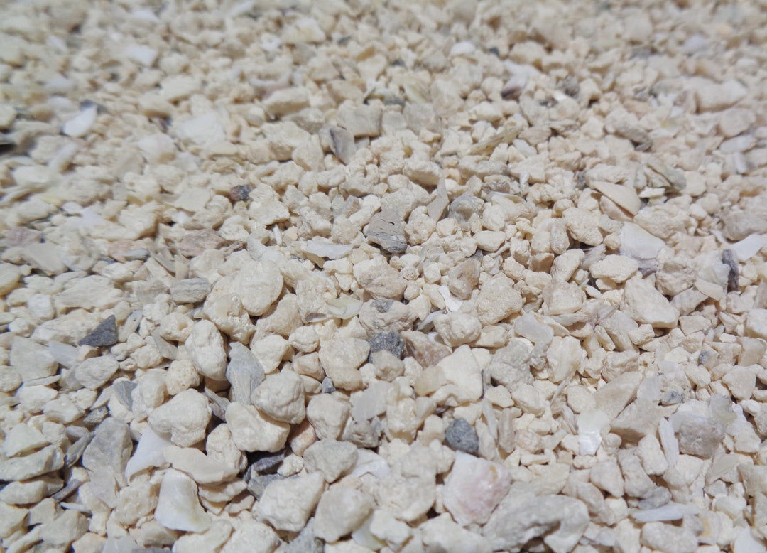 6 Lb Crushed Oyster Shell, Aquarium Decor, Aquascape, Salt Water Gravel ...