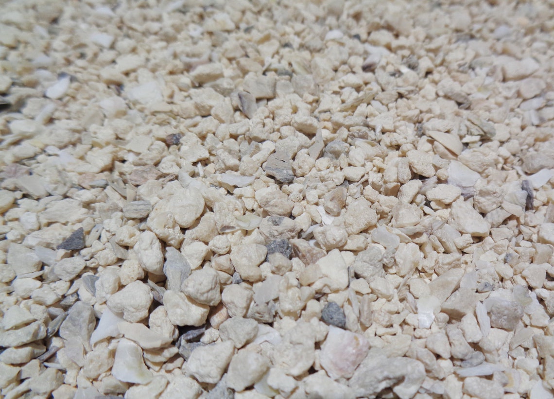 6 Lb Crushed Oyster Shell Aquarium Decor Aquascape Salt | Etsy