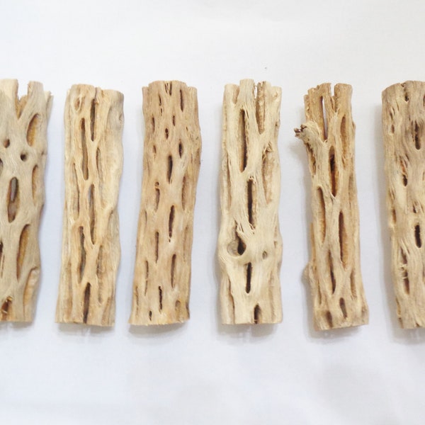 Cholla Wood - Etsy
