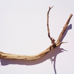 Driftwood, Aquarium Decor,aquascape, Fish Tank, Shrimp,planted Tank ...