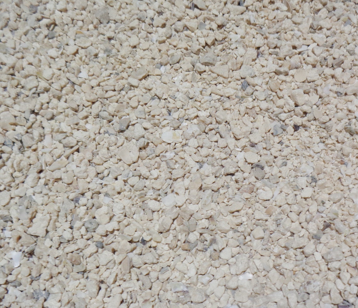 6 Lb Crushed Oyster Shell Aquarium Decor Aquascape Salt | Etsy