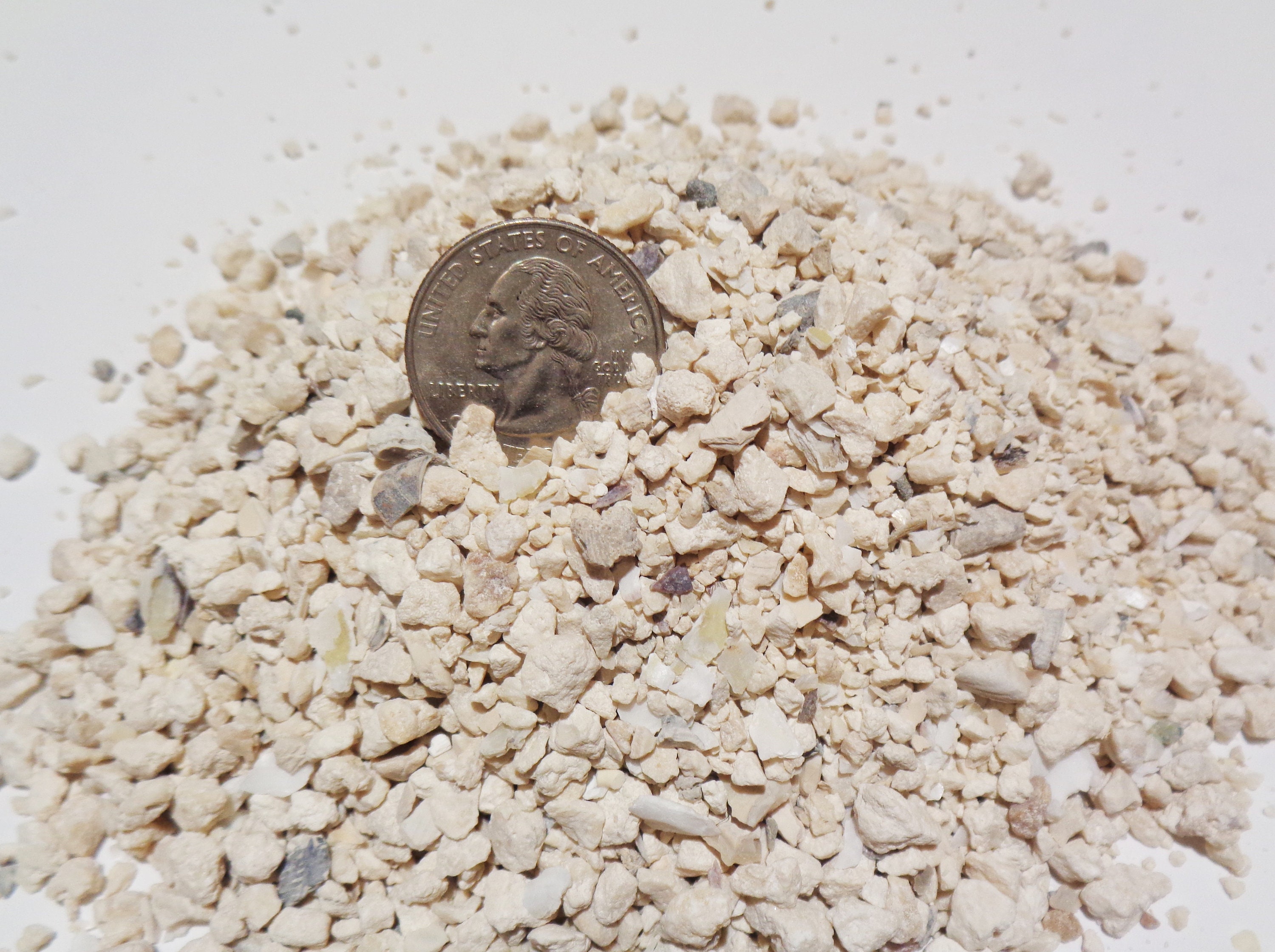 3 lb crushed oyster shell aquarium decor aquascape salt | Etsy