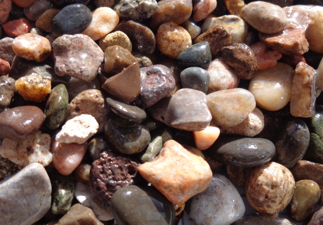 1lb Gravel Aquarium Decor Aquascape Fish Tank Planted - Etsy