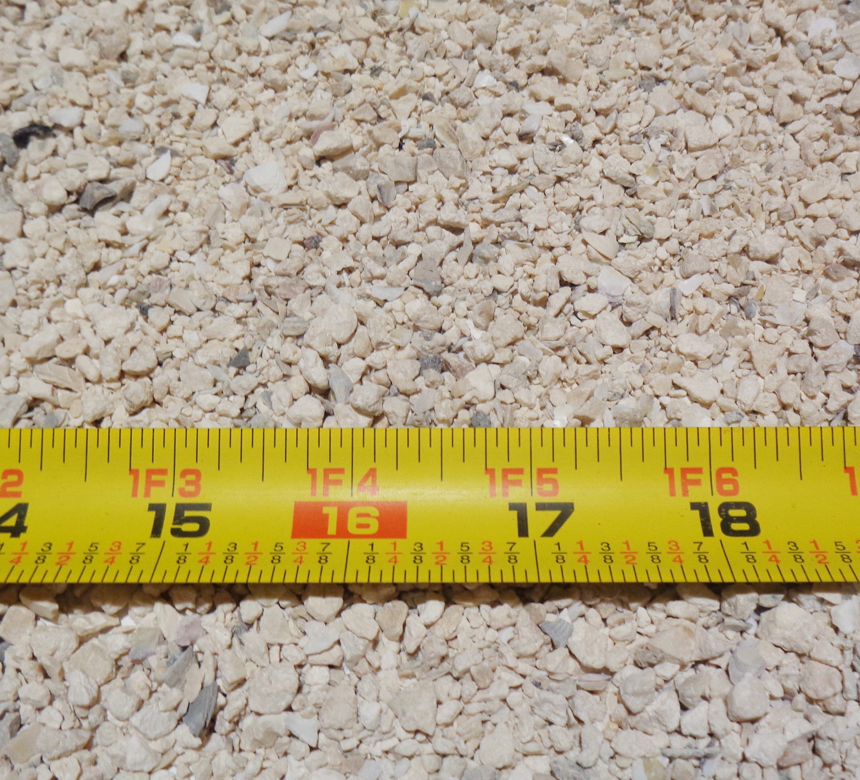 6 Lb Crushed Oyster Shell, Aquarium Decor, Aquascape, Salt Water Gravel ...