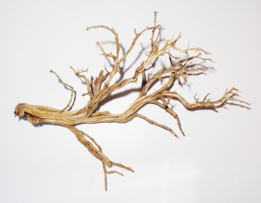 Jumbo Driftwood, Aquarium Decor, Aquascape, Fish Tank, Shrimp, Planted ...