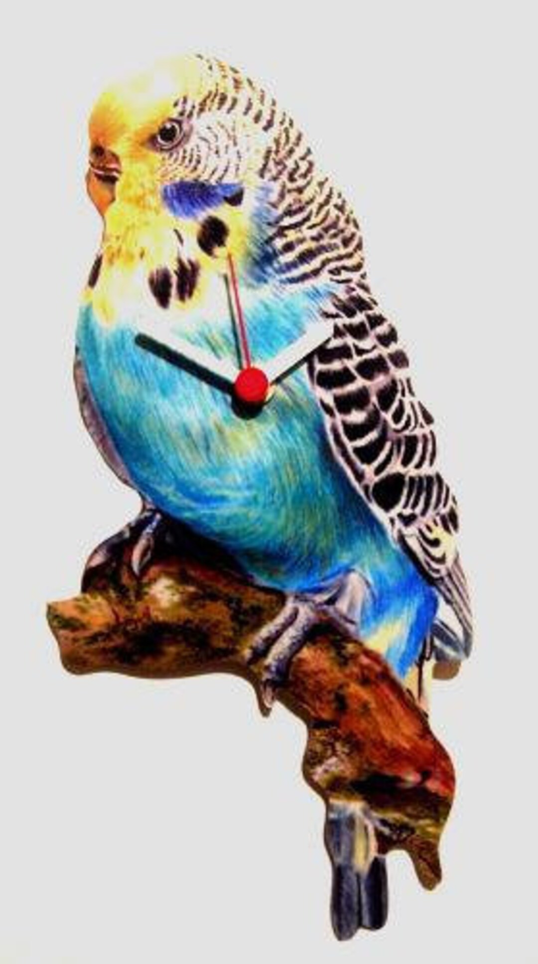 Blue Budgerigar Clock - Blue Budgerigars - Budgerigar Gift - Budgerigar ...