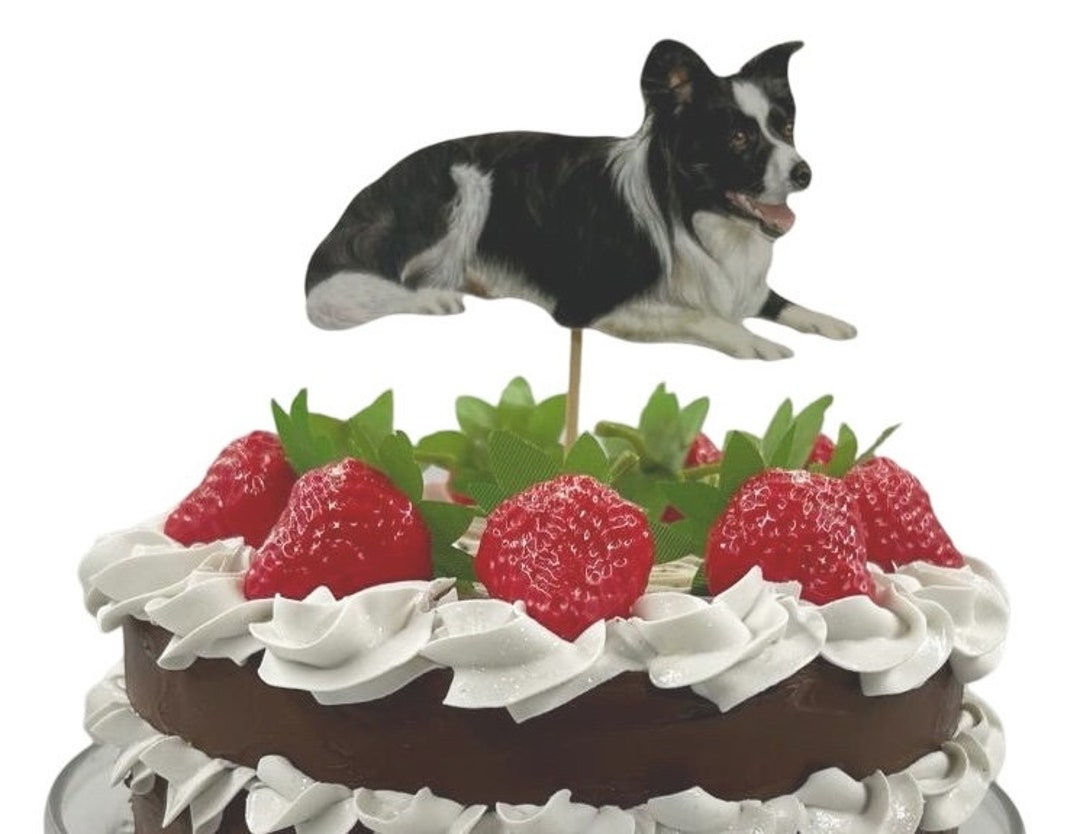 Border Collie Cake Topper - Border Collie Cake Decoration -border ...