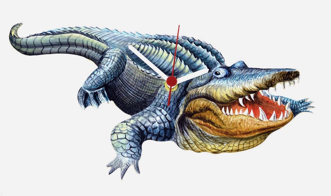 Alligator Clock Alligators Alligator Gift Alligator Gifts Alligator ...