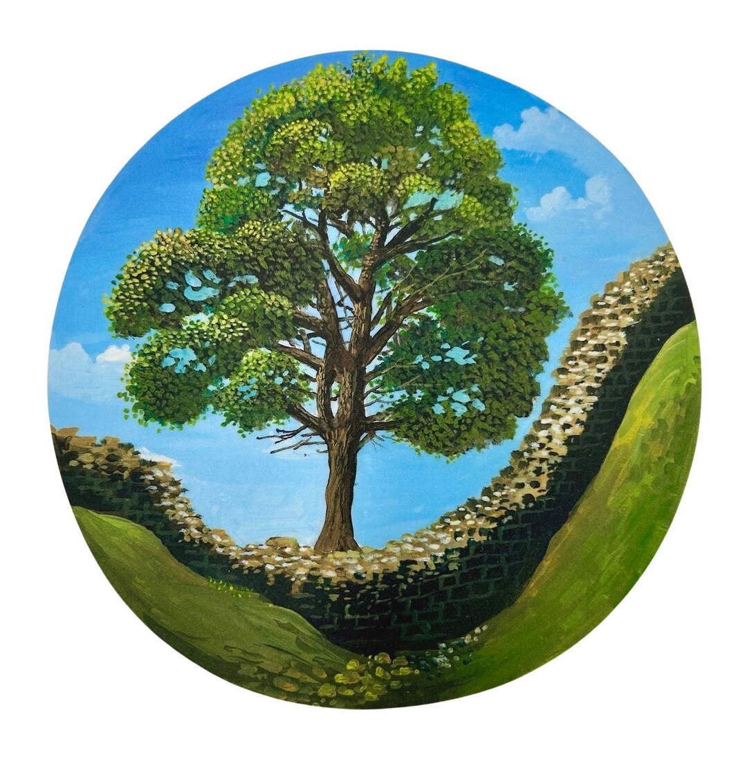 Sycamore Gap Tree Plaque - Sycamore Gap Tree Wall Plaque - Sycamore ...