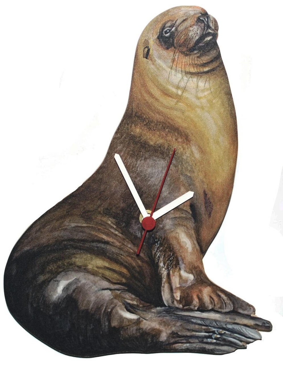 Sea Lion Clock Sealion Clock Sealion Gift Sea Lions Sealions Sea Lion ...