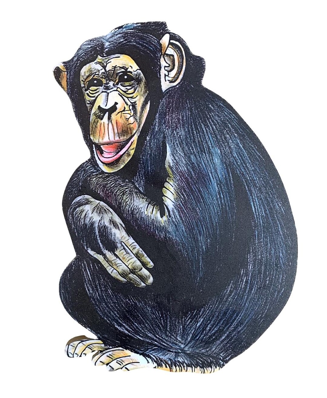 Chimpanzee Magnet - Chimp Fridge Magnet - Monkey Gifts - Chimp Magnet ...