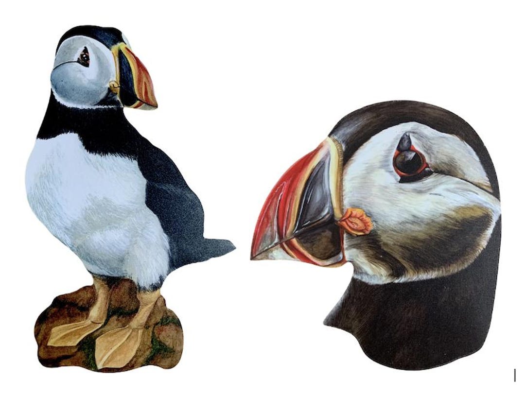 Puffin Magnet Set - Puffin Fridge Magnet Set - Puffin Gift - Puffins ...