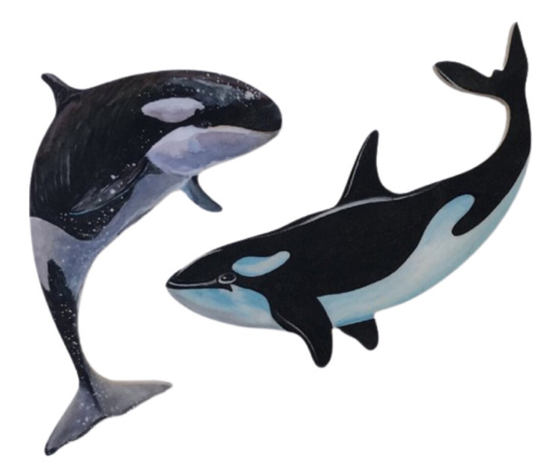 Orca Killer Whale Magnet Set Orca Killer Whales Orca Killer Whale ...