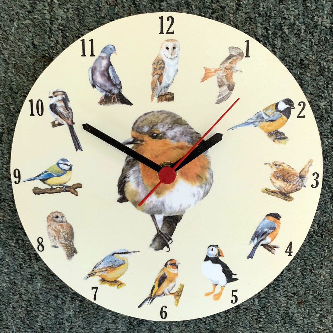 Garden Bird Clock - Garden Birds - Robin Clock - Blue Tits - British ...