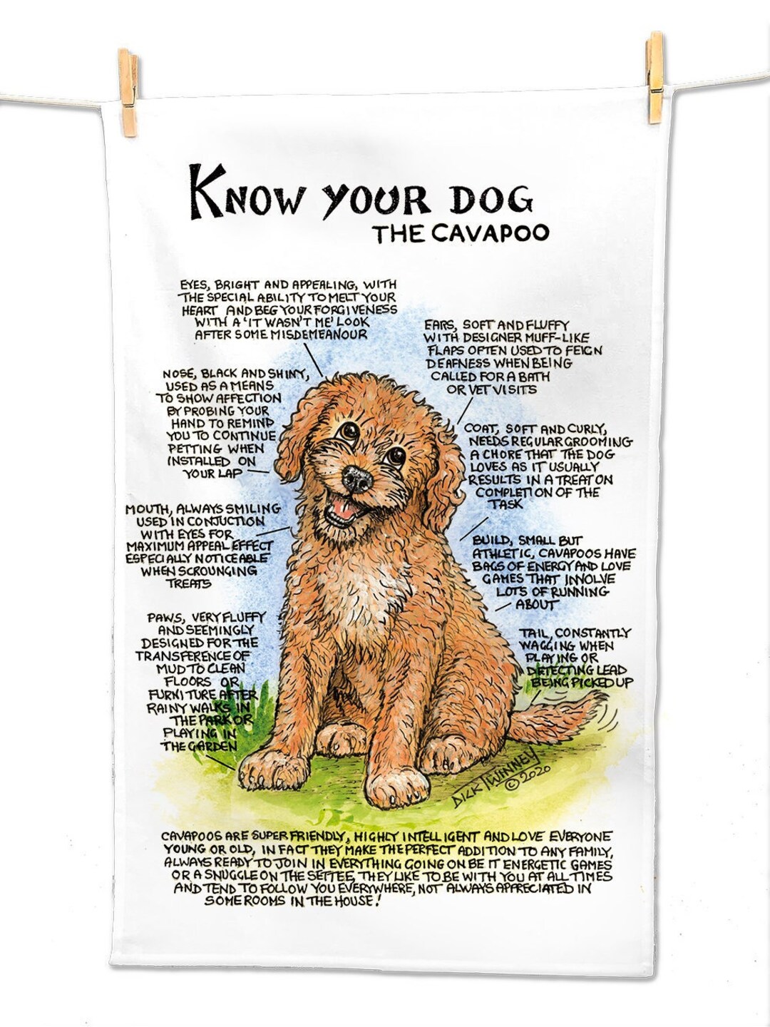 Cavapoo Tea Towel - Cavapoos - Cavapoo Gift - Cavapoo Gifts 5292 -TT ...
