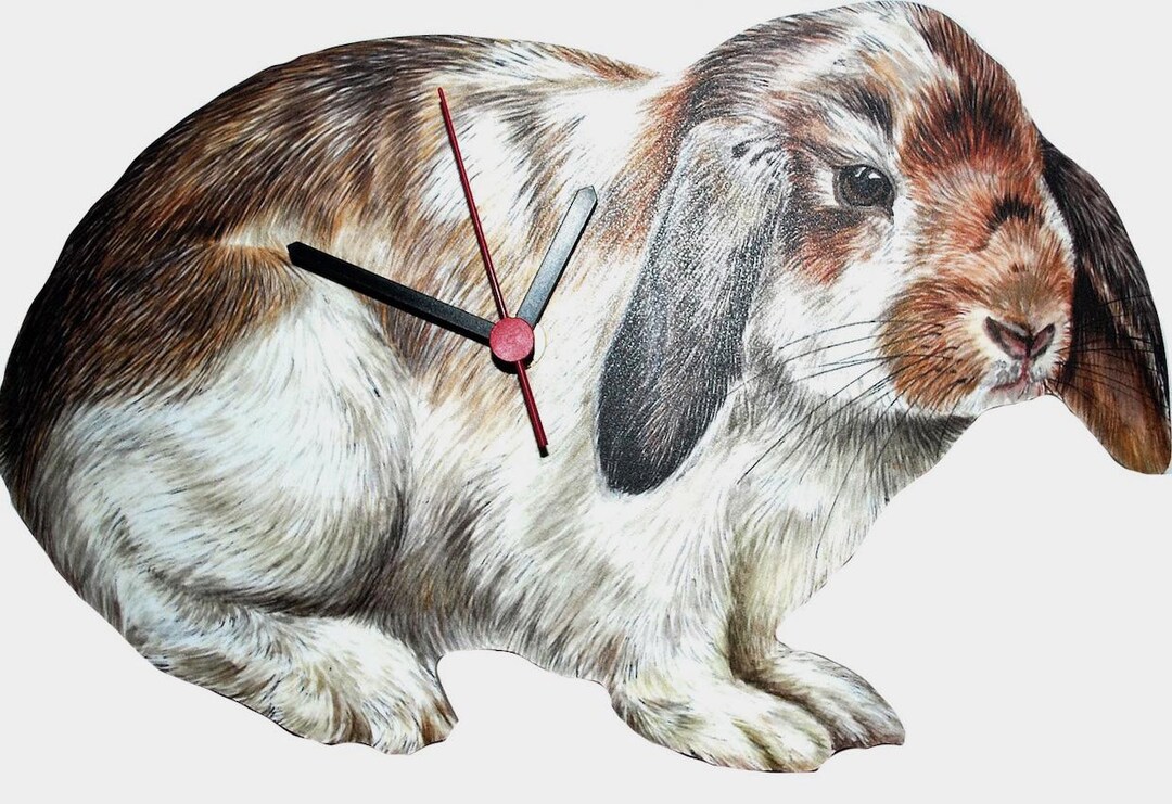 Lop Eared Rabbit Clock - Lop Eared Rabbits - Lop Eared Rabbit Gift ...