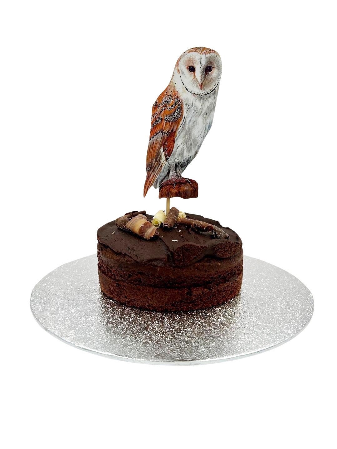 Barn Owl Cake Topper - Barn Owl Cake Decoration - Barn Owl Cake ...