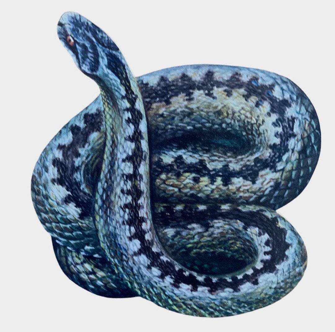 Snake Magnet - Snake Fridge Magnet - Snake Gifts - Snake Gift - Adder ...